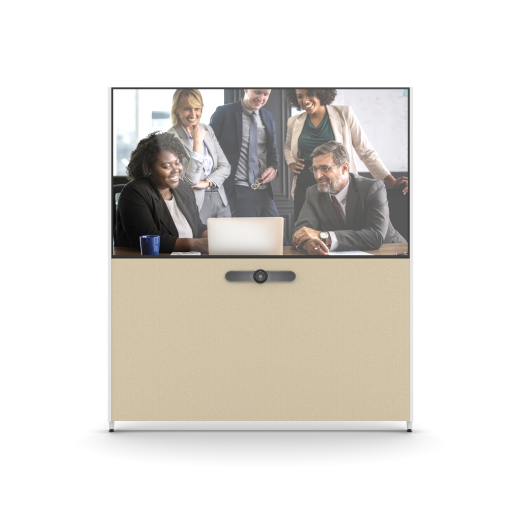 MeetingWall Basic Sony BZ30 | AudicomPendax AB